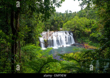 Wallicher Falls - Wooroonooran National Park - Queensland - Australia ...