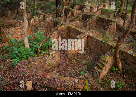 Shale Oil Refinery Ruins - Newnes - Wollemi National Park - NSW ...
