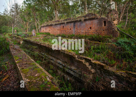Shale Oil Refinery Ruins - Newnes - Wollemi National Park - NSW ...