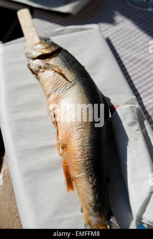 Saibling fish, Altaussee, Styria, Austria Stock Photo - Alamy