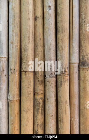 bamboo cane wall texture Stock Photo - Alamy