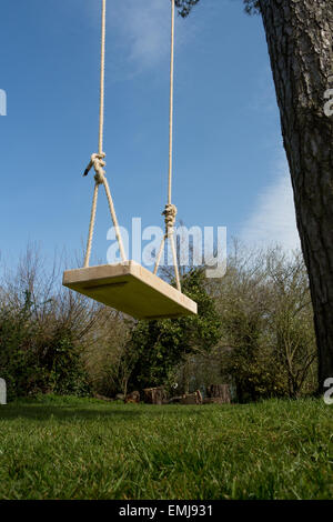 Tree swing in the garden with a tall tree, blue sky and green grass ...