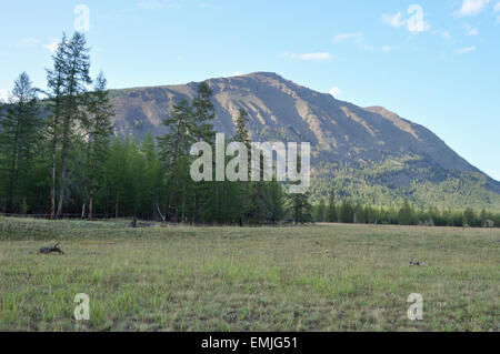 Green meadows in mountain valley of the river Suntar. Russia, Yakutia ...