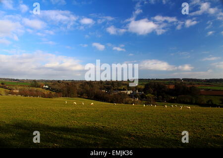The Great Barn at Buckland Abbey, Devon - former home of Sir Francis ...