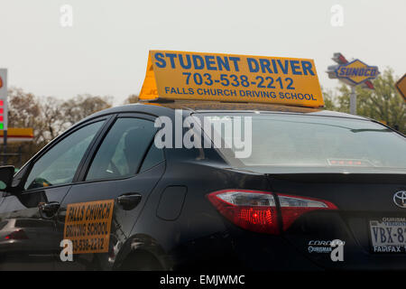 Student driver (learner driver) sign on car - USA Stock Photo - Alamy