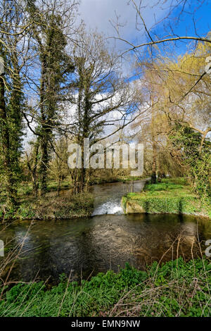 Affpuddle in Dorset, England with 13th century church locates George ...