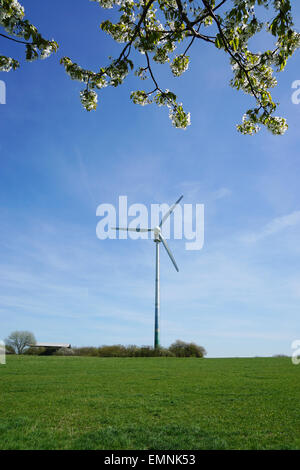 solitary three-bladed wind turbine in a meadow Stock Photo - Alamy