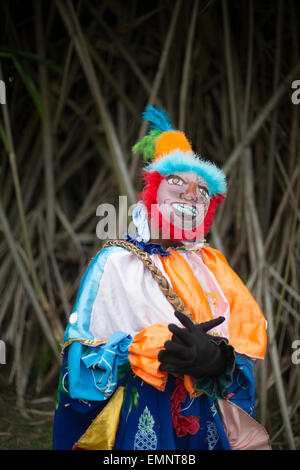 Face mask with Saint Kitts and Nevis flag printed, on white background ...