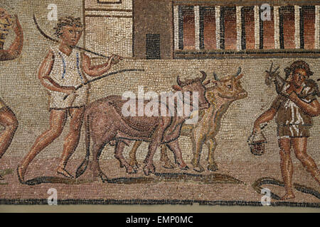 agriculture, agricultural work, plowing, Roman farmer with a wooden ...