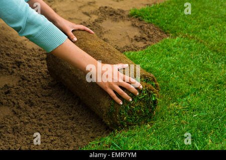 Woman applying turf rolls in the backyard Stock Photo - Alamy