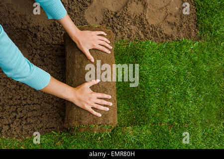 Woman applying turf rolls in the backyard Stock Photo - Alamy