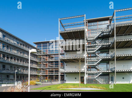 Modern new office or college school building exterior. Backyard with ...