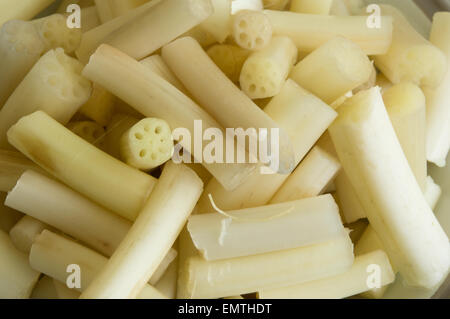 lotus root stalk plant food preparation eat Stock Photo - Alamy