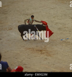 Portugal, Albufeira, Bull Fight Stock Photo - Alamy
