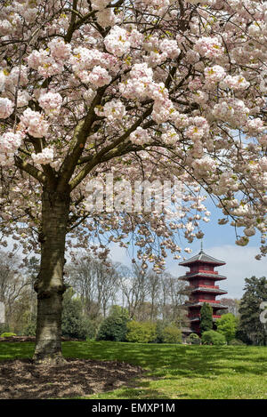 View of the Brussels gardens in Belgium, Europe Stock Photo - Alamy