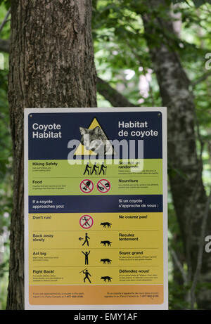 Coyotes in the area warning sign along hiking trail, Colorado US Stock ...