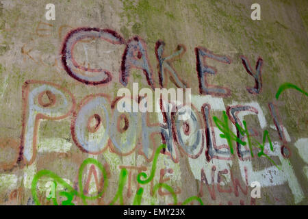 Graffiti on the underpass of the M6 Bridge at Denny Beck, Lancaster ...