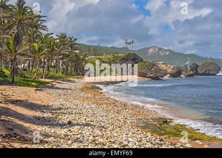 Pebbles Beach at West Coast of Barbados, "West Indies Stock Photo - Alamy