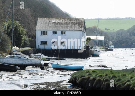 Hellford Estuary Gweek, Cornwall UK Stock Photo: 81799606 - Alamy
