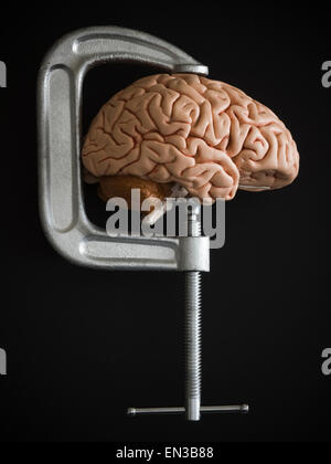 brain in a clamp Stock Photo - Alamy