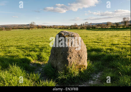 Kinnerton Court Stone I, an early Bronze Age standing stone or menhir ...