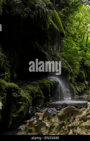 In the Patuna Chasm, gorge, ravine, Wairarapa, New Zealand Stock Photo ...