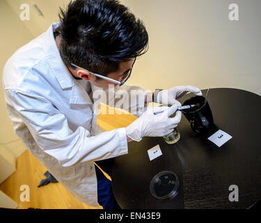 Sydney, Australia. 27th April, 2015. Forensic Science students carry out crime scene ...