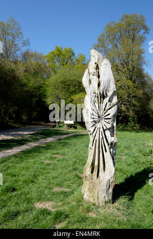 Kingley Vale, Kingley Vale National Nature Reserve, a grove of ancient ...