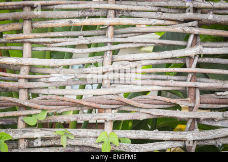 Beautiful Abstract of Woven Branch Decorative Thatch Work Fence Stock ...