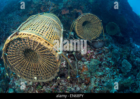 Fish trap on reef, Pantar Island, Alor Archipelago, Lesser Sunda ...