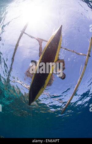 Indonesia Alor Island - Local fisherman fishing Stock Photo - Alamy