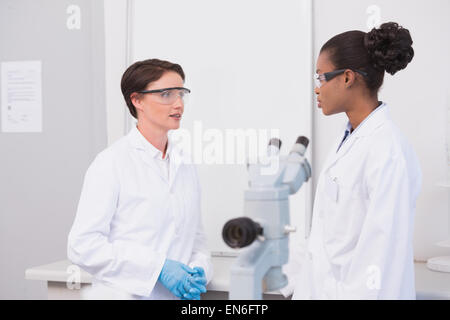Scientists having a conversation Stock Photo - Alamy