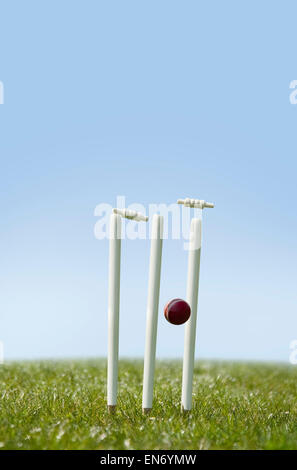 Cricket ball hitting wicket stumps knocking bails out against blue sky ...