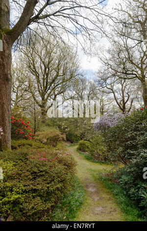 High Beeches in Spring - 4 Stock Photo - Alamy
