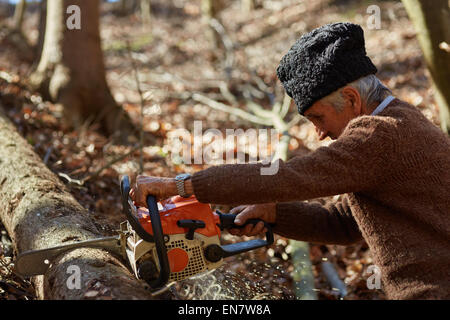 Senior caucasian man woodcutter cutting down trees with chainsaw Stock ...
