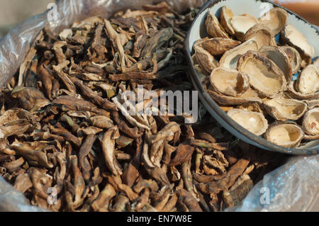 Close-up of dried mango skin for sale at the market Stock Photo - Alamy