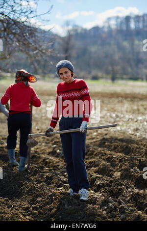 People sowing potato tubers into the plowed soil Stock Photo - Alamy