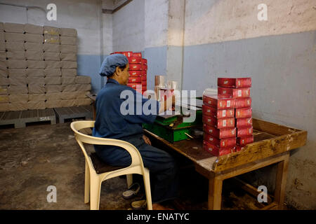 Woman working at the assembly line of SeyTe tea factory in Mahe Island ...