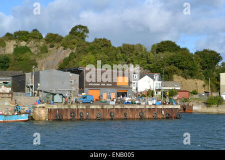 Appledore Quay and Richmond Dock from Lundy Island supply vessel MS ...