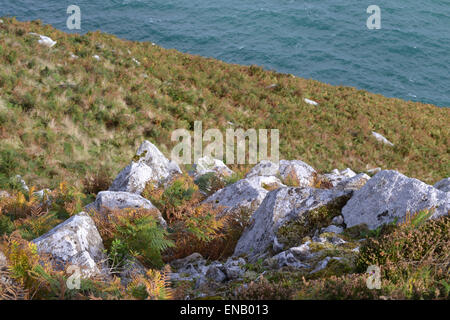 Trip to The Landmark Trusts Lundy Island in The Bristol Channel aboard ...