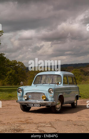 Ford 100E Escort Estate, Baby Blue in parkland with trees and a blue ...