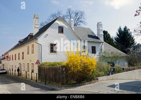 The Beethoven house in Heiligenstadt in Vienna, Austria Stock Photo - Alamy