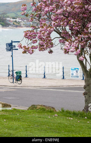 Signpost at Swanage with sea and coast in the background Stock Photo ...