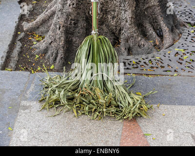 A green broom made from palm fronds that is tied to a broom stick leans ...