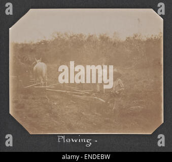 A vintage agricultural scene showcasing an old-fashioned machine ...