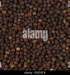 Black pepper zoomed in on and close up texture Stock Photo - Alamy