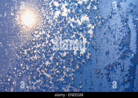 Snowflakes glitter in the sun on a frosty winter sunny day Stock Photo ...