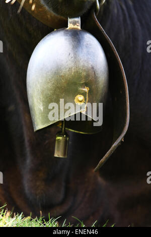 Old Musical Cow Bell Instrument Stock Photo - Alamy
