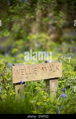 Wellie Walk sign in Bluebell woods, Whalley, Lancashire Stock Photo - Alamy