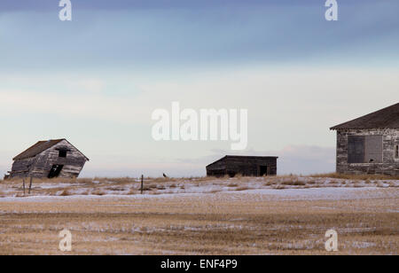 Prairie Landscape in winter Saskatchewan Canada stubble field Stock ...